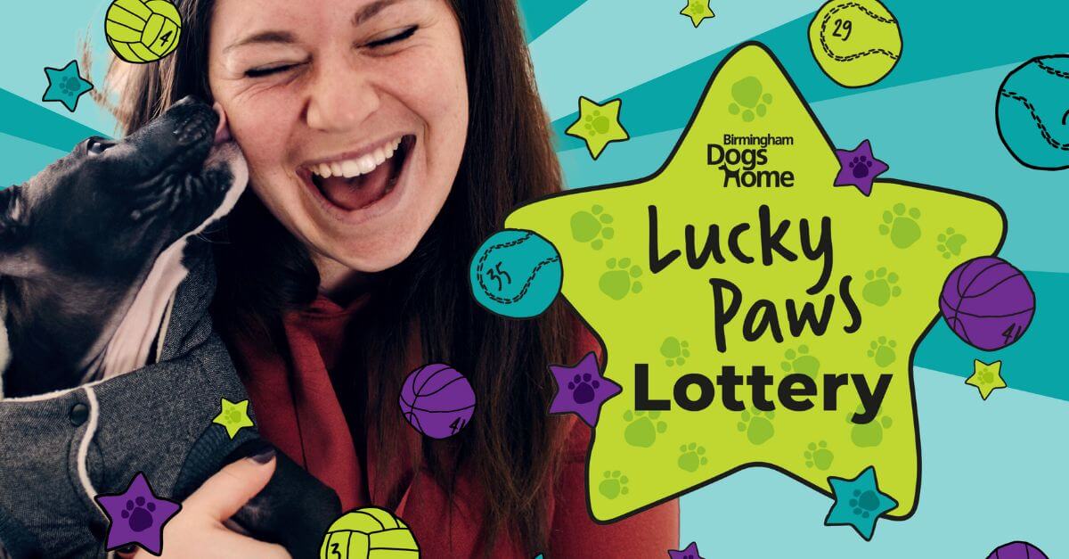 Support Birmingham Dogs Home